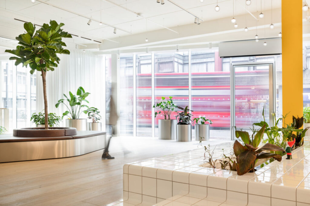 Maximise Natural Light in Urban Spaces | Frameless Glass Walls